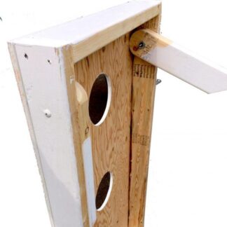 Jack and the Bean Toss Game - Yours to Rent for only $44!